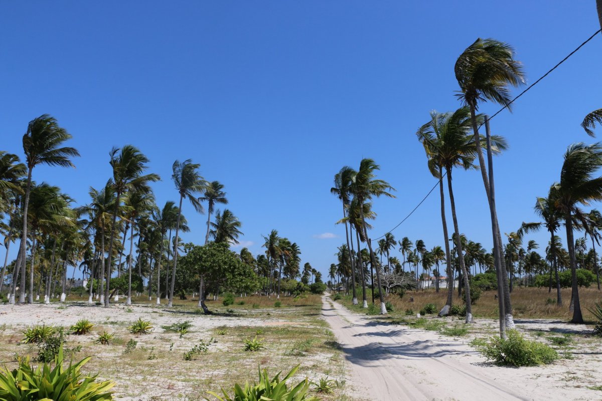 Day 202 - 204: Chocas Mar to Ilha de Mozambique - Two Monkeys In Mozambique
