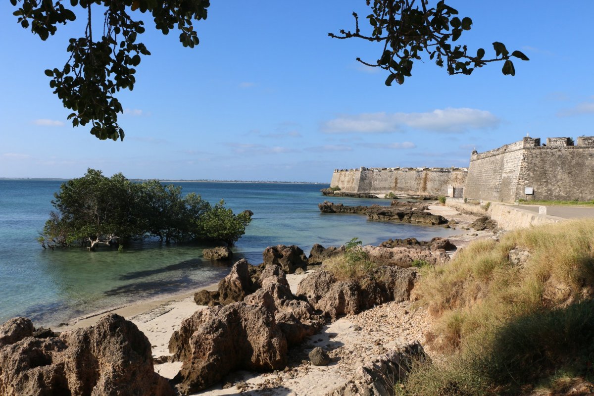 Day 202 - 204: Chocas Mar to Ilha de Mozambique - Two Monkeys In Mozambique