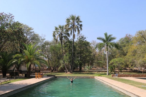 Day 212 – 213: Hot Springs to Great Zimbabwe - Two Monkeys In Zimbabwe