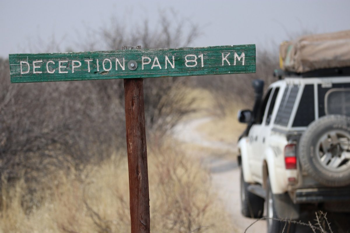 Day 19 - 20: Xade to Deception Pan - Two Monkeys In